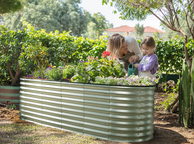 Assembly – Plant & Plot