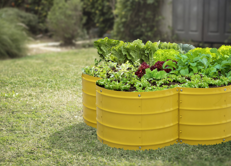 Assembly – Plant & Plot