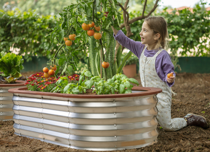 Assembly – Plant & Plot